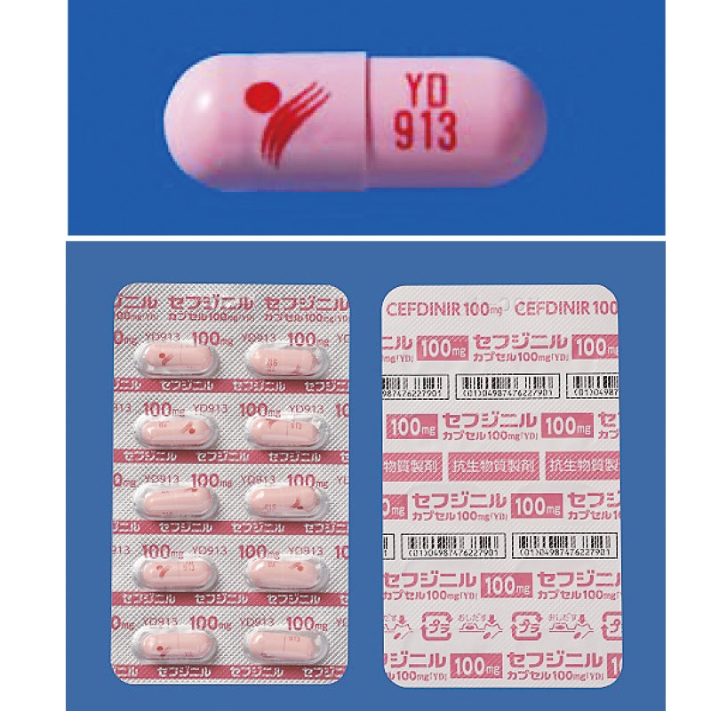 セフジニルカプセル100mg「YD」[陽進堂] 500カプセルの通販 | Ci Vet | Ciモール