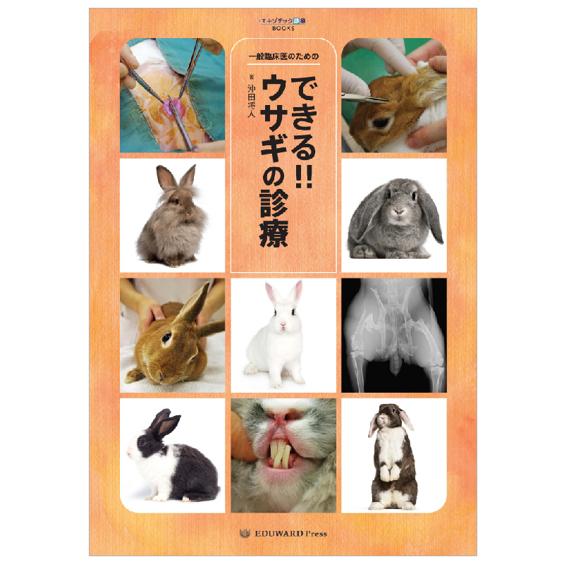 一般臨床医のための できる！！ウサギの診療の通販 | Ci Vet | Ciモール